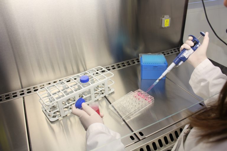 Labfit – A Labfit é uma marca da empresa portuguesa HPRD – Health ...