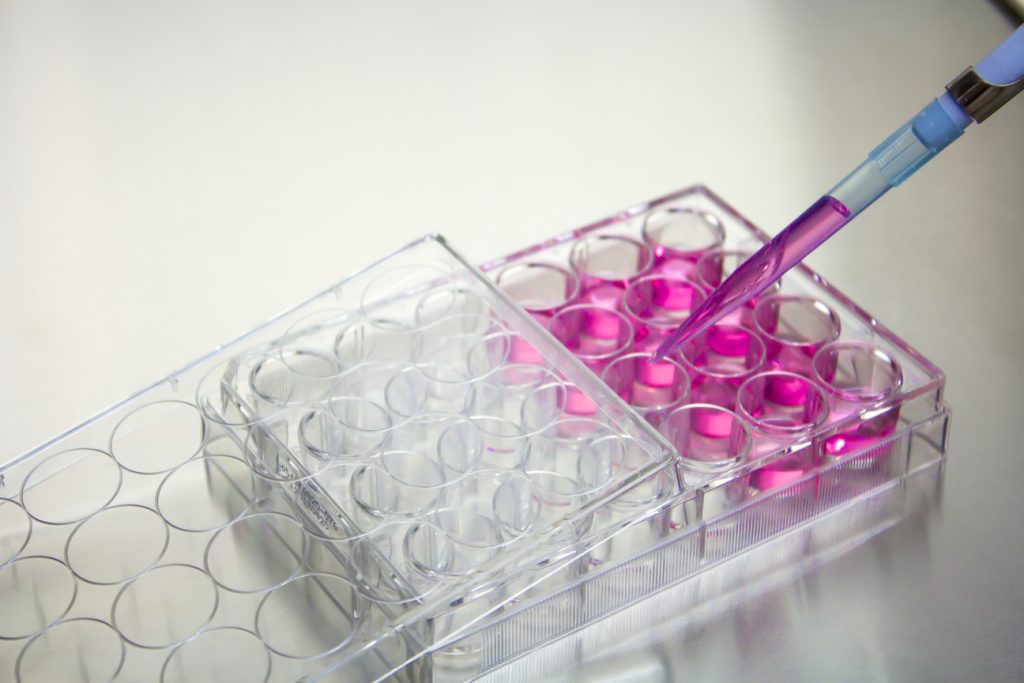 Labfit – A Labfit é uma marca da empresa portuguesa HPRD – Health ...